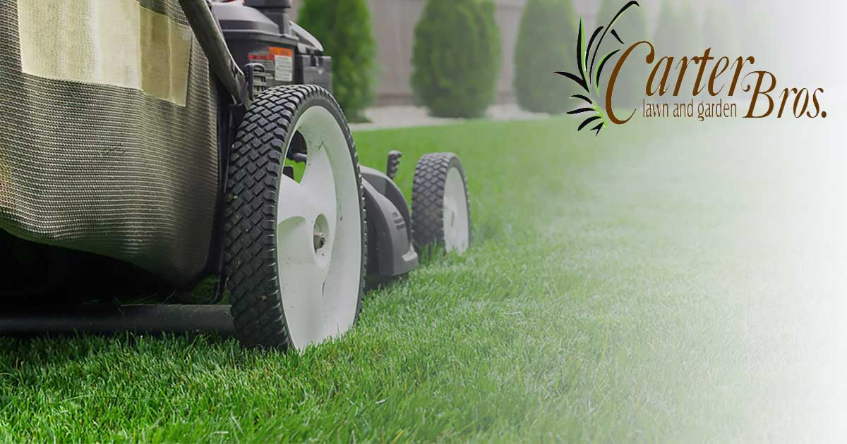 Snow Clearing - Carter Bros Lawn & Garden Ltd.